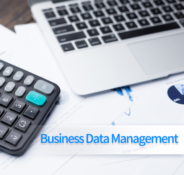 Business Data Management